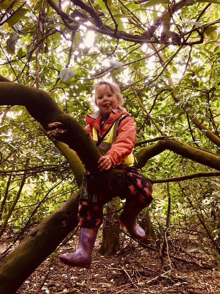 Why Forest School is key in a preschool curriculum | Single Steps Nurseries